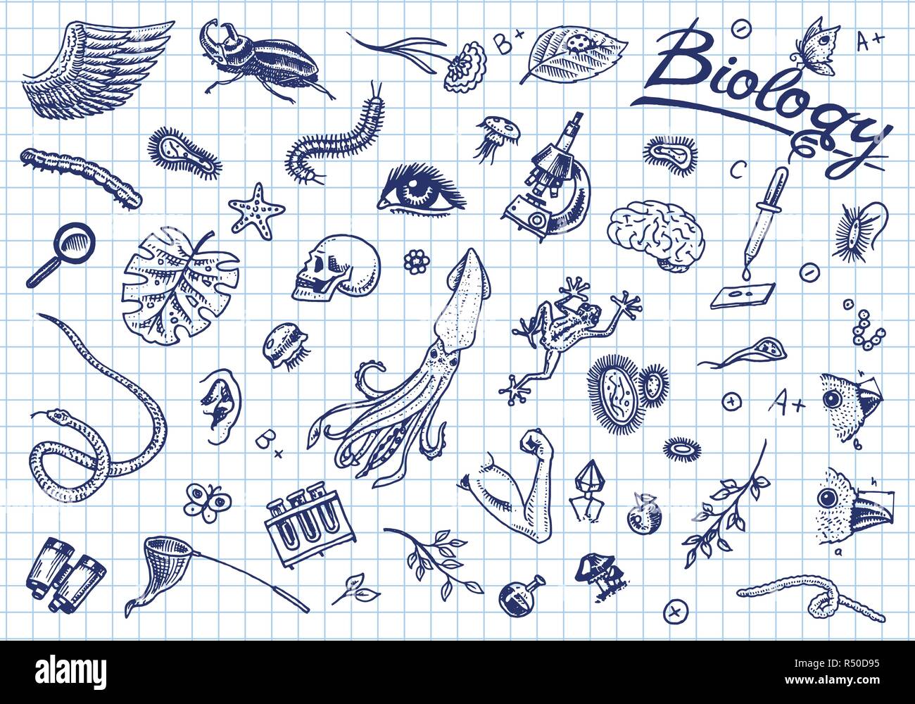 Scientific laboratory in Biology. Icon Set of Biochemistry Research ...
