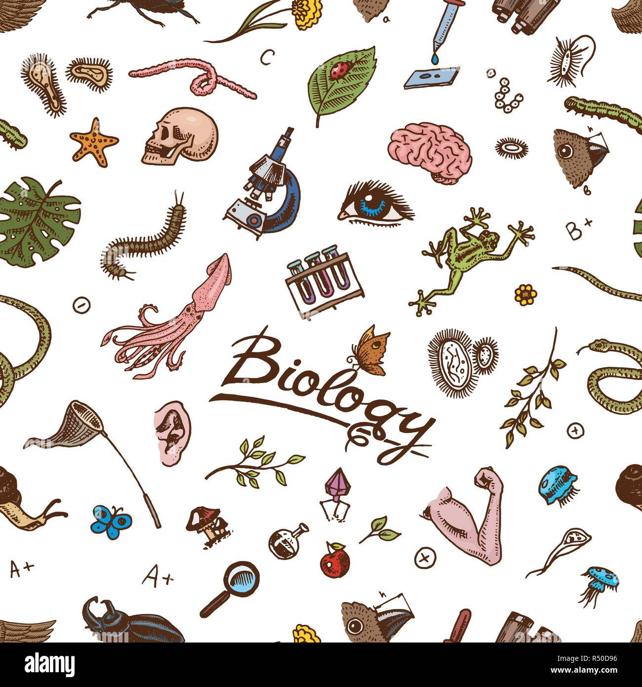 Science Experiment Cartoon Stock Photos & Science Experiment Cartoon ...