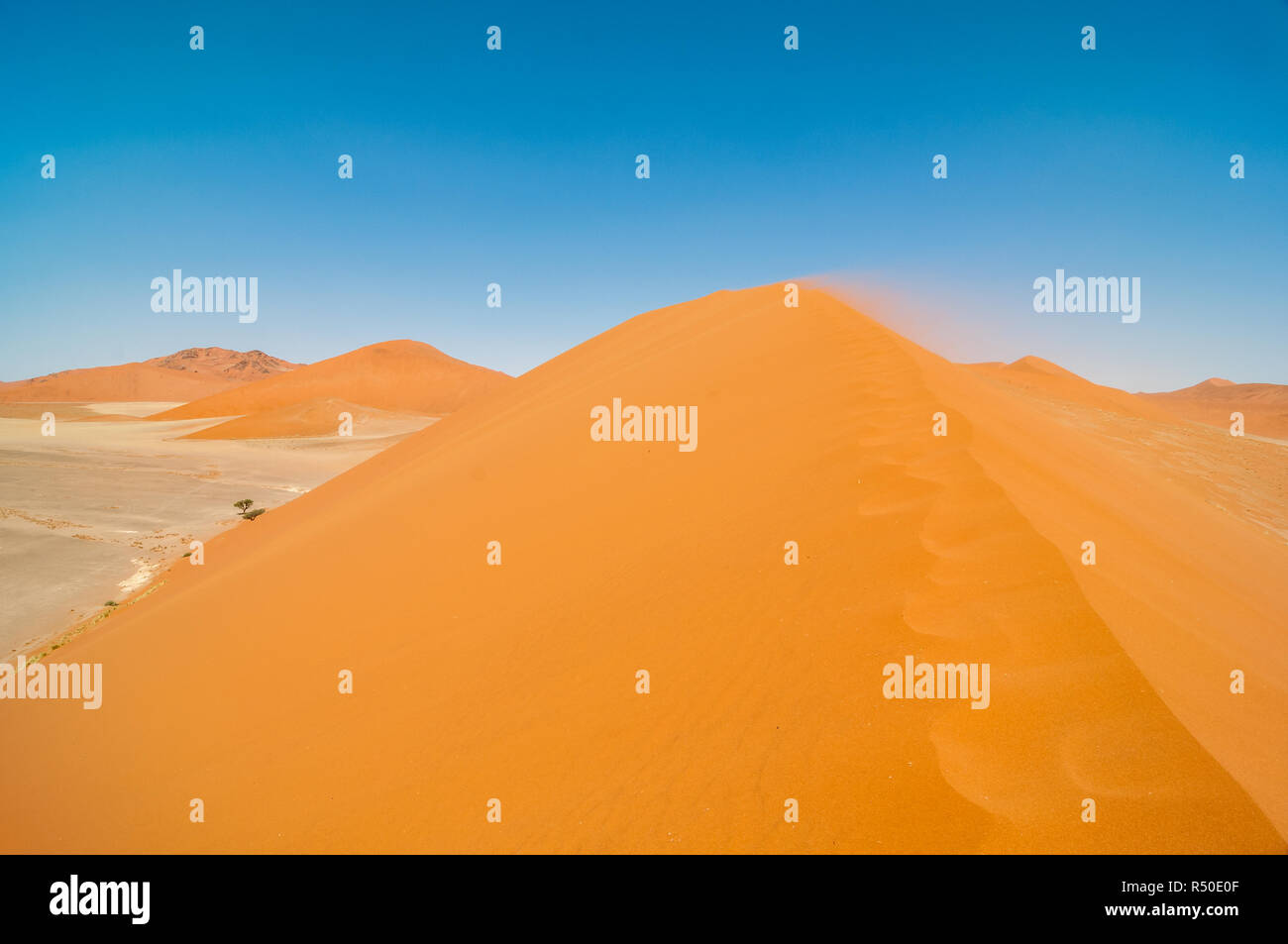 top of Dune 45 ,namib desert, Namibia Stock Photo - Alamy