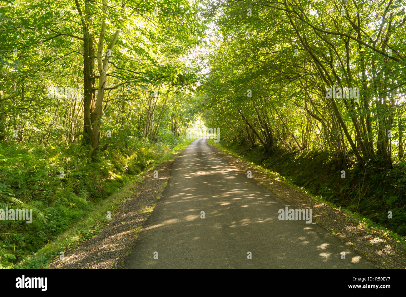 Grass lined drive hi-res stock photography and images - Alamy