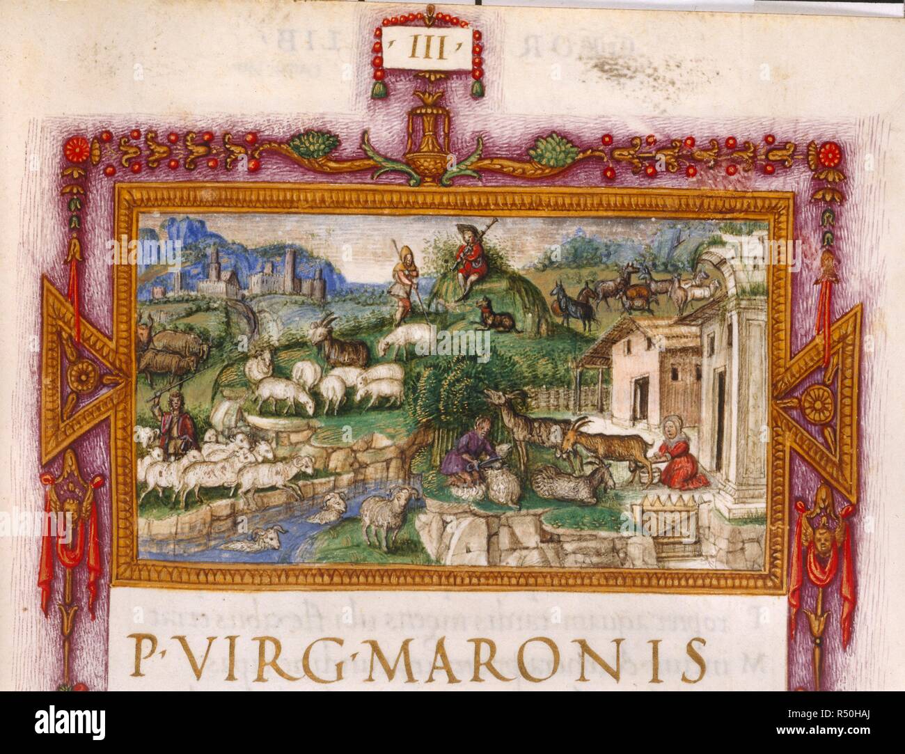 Agriculture sheep manuscript hi-res stock photography and images - Alamy