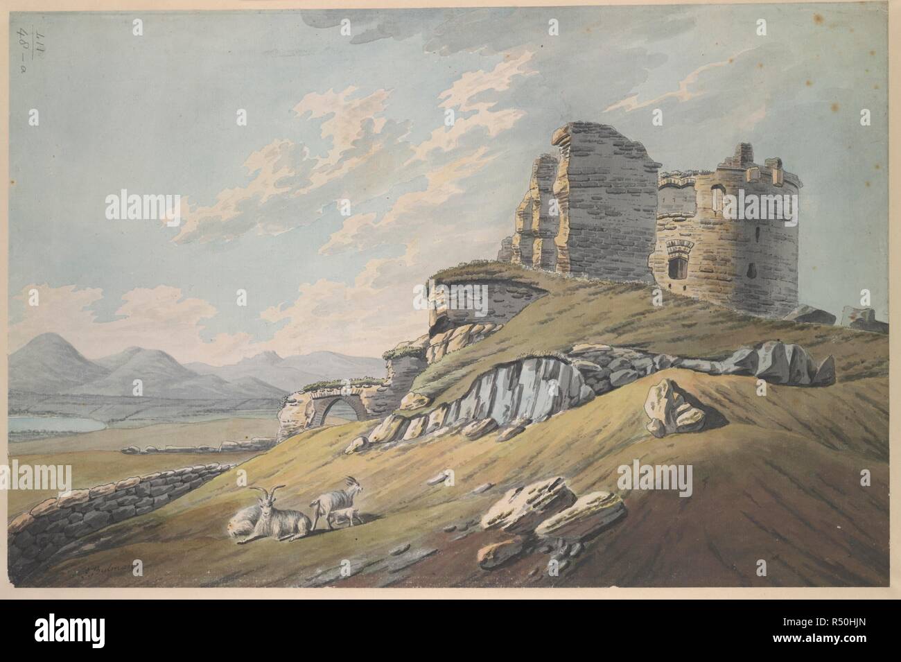 Sheep on a rocky hill in the foreground; the ruins of Dundrum Castle on ...