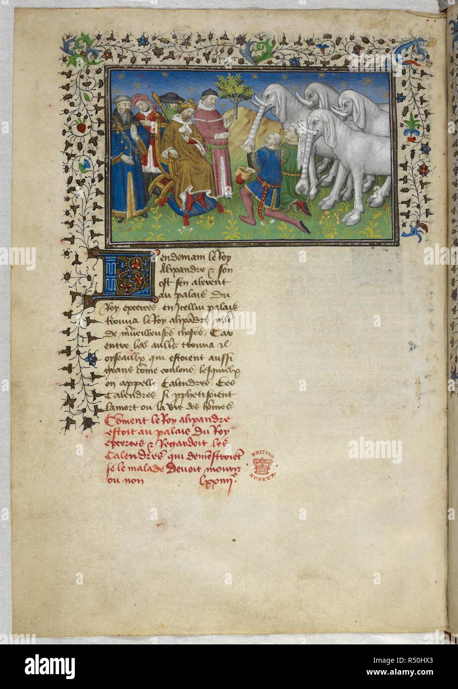 Foliate initial b hi-res stock photography and images - Alamy