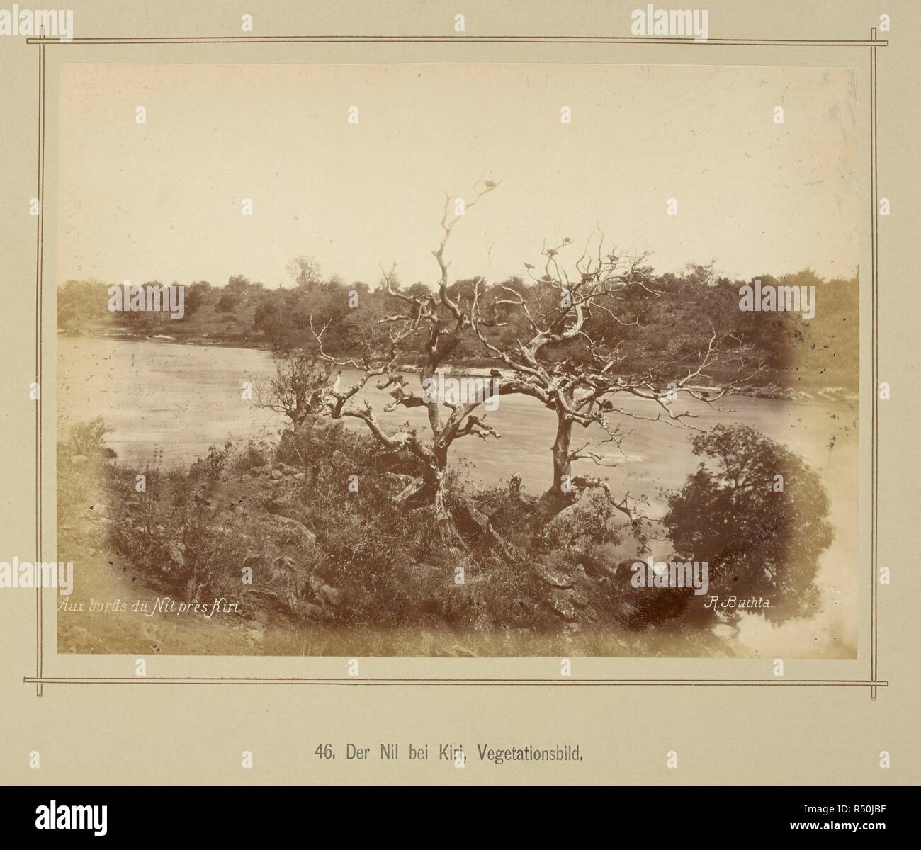 Richard Buchta High Resolution Stock Photography and Images - Alamy