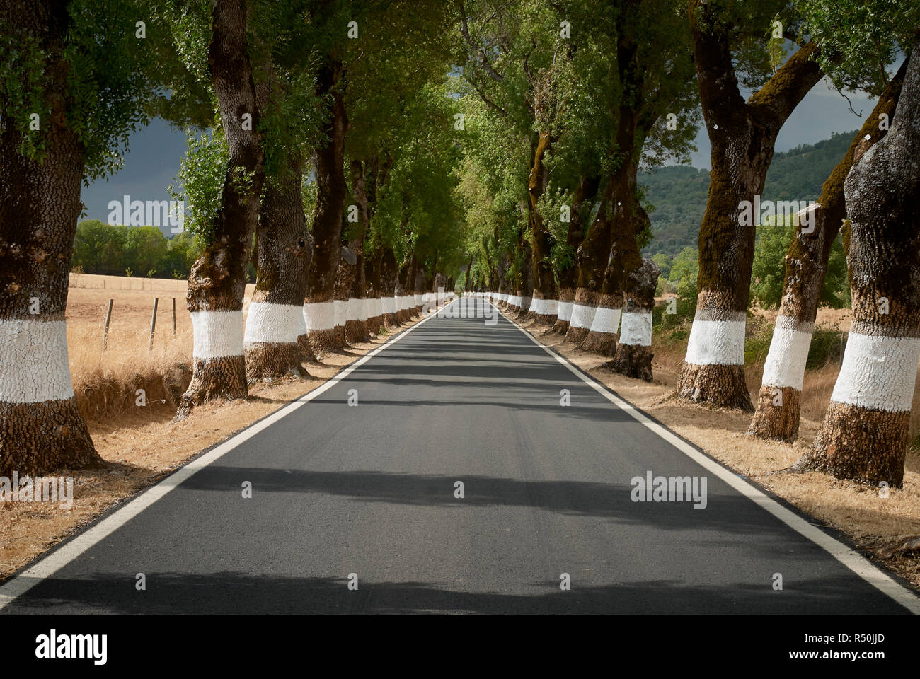 Beautiful landscape route scenery hi-res stock photography and images ...