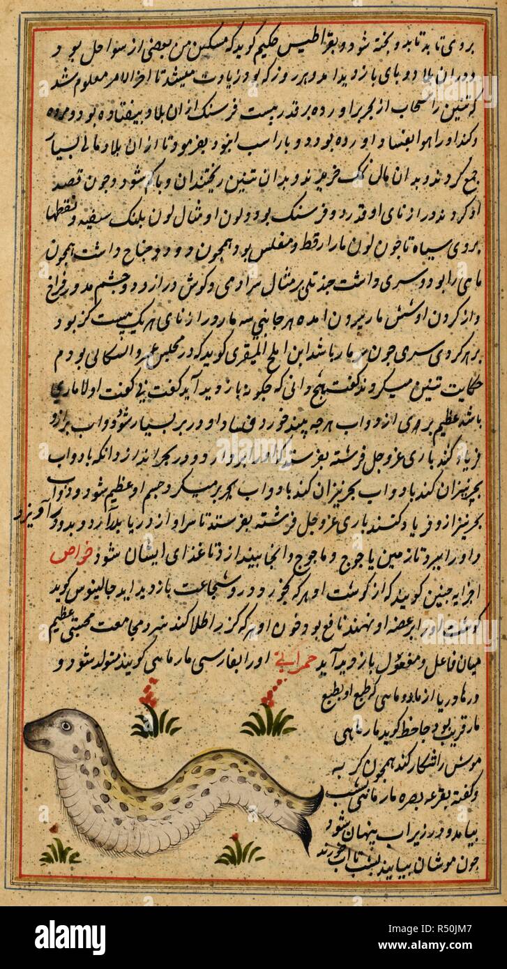 Al Kitaab Story Translation