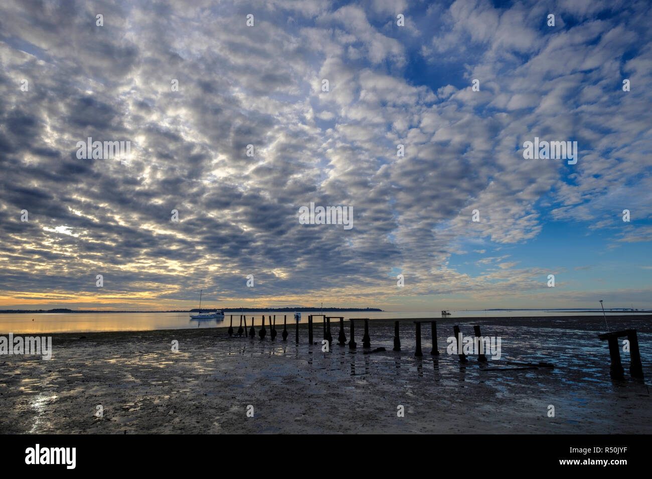 Macleay island hi-res stock photography and images - Alamy