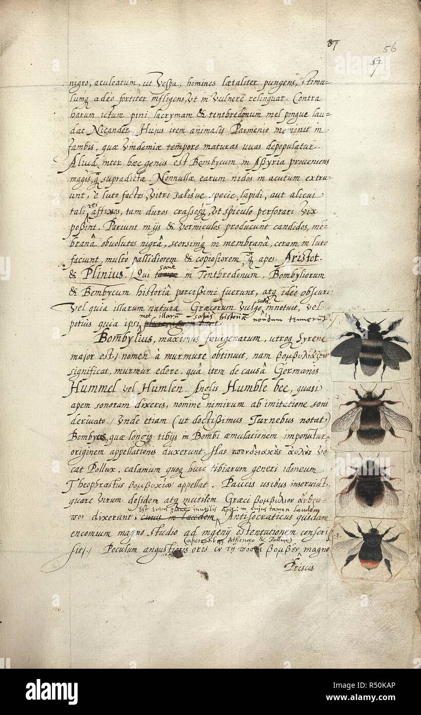 Sloane manuscript hi-res stock photography and images - Alamy