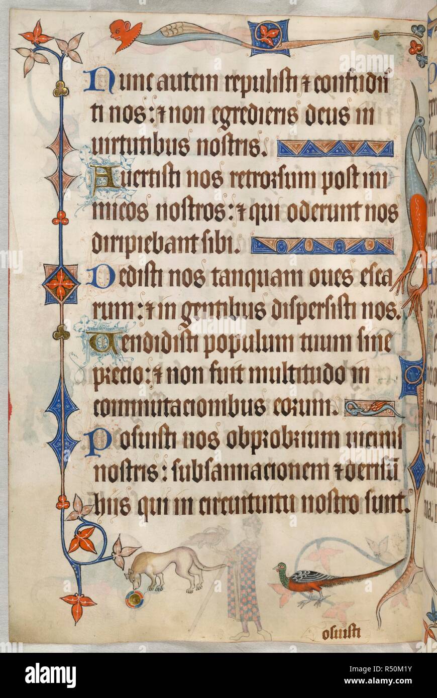 Medieval bestiary hi-res stock photography and images - Alamy