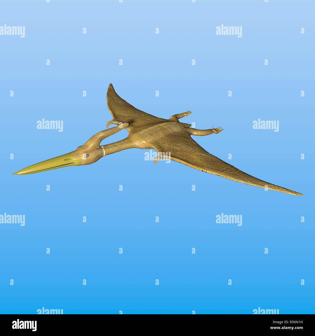 pteranodon sarier in flight Stock Photo - Alamy