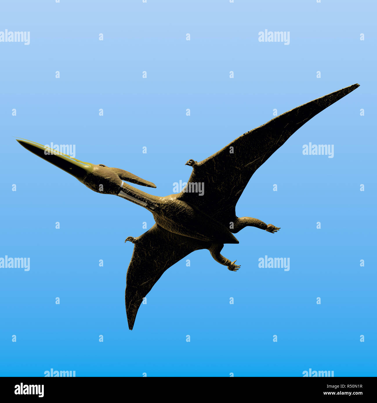 pteranodon sarier in flight Stock Photo - Alamy
