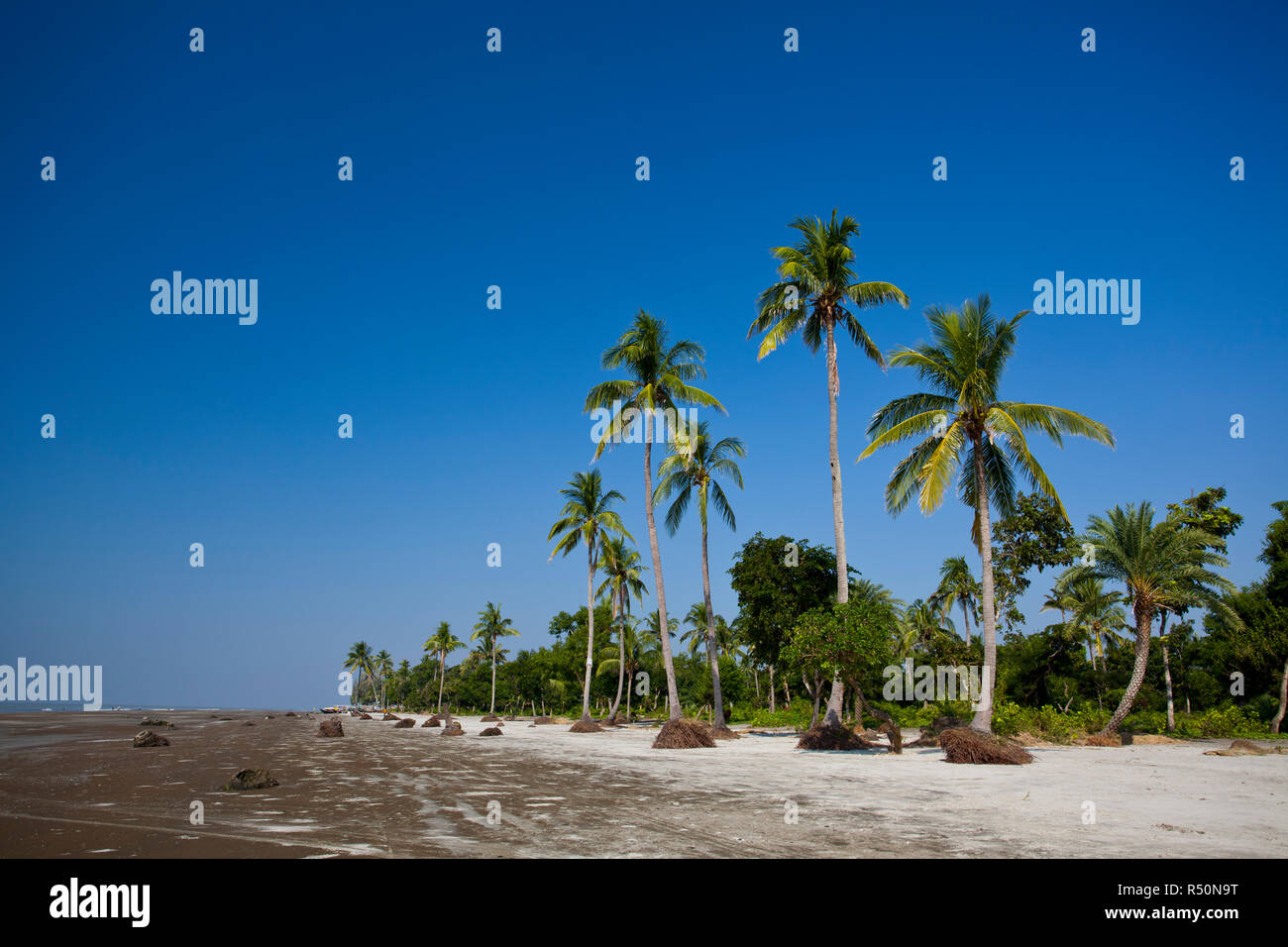 Kuakata sea beach, locally known as 'Sagar Kannya' or daughter of the ...