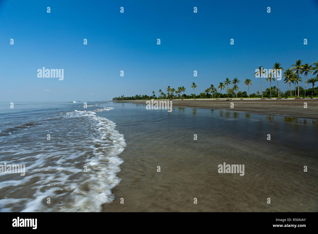 Kuakata sea beach, locally known as 'Sagar Kannya' or daughter of the ...