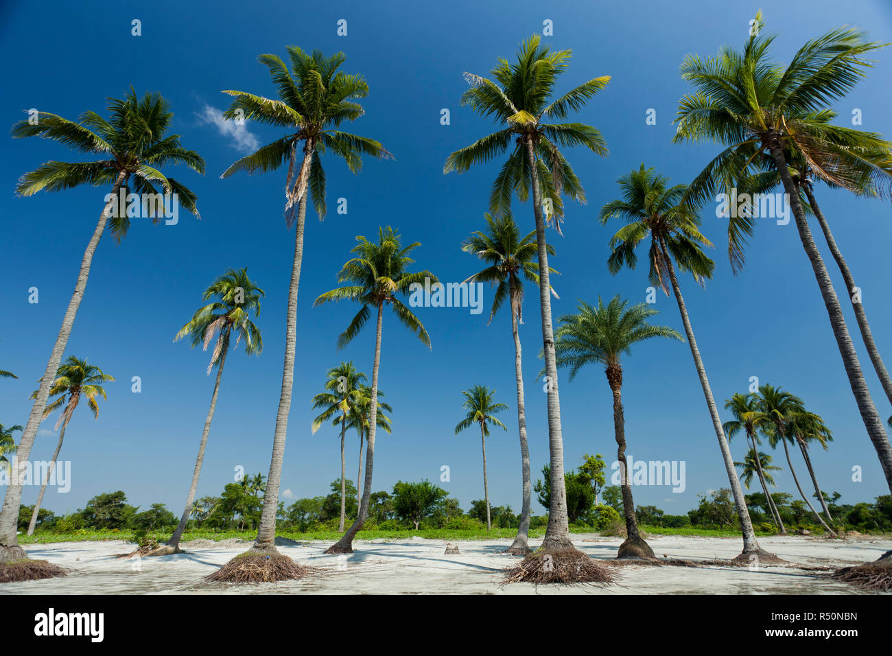 Kuakata Sea Beach High Resolution Stock Photography and Images - Alamy