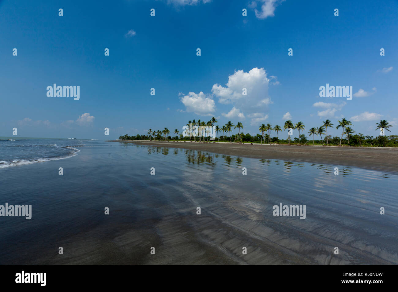 Kuakata sea beach, locally known as 'Sagar Kannya' or daughter of the ...