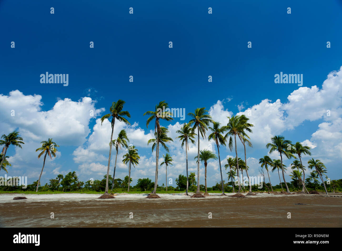 Kuakata sea beach, locally known as 'Sagar Kannya' or daughter of the ...
