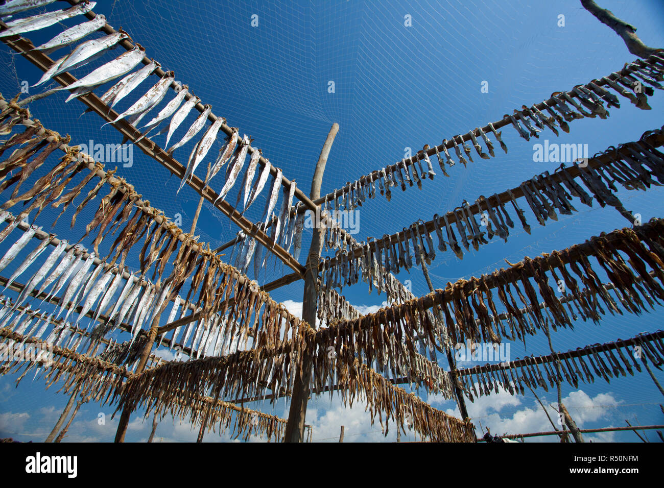Dry fish plant at Kuakata. Patuakhali, Bangladesh Stock Photo - Alamy