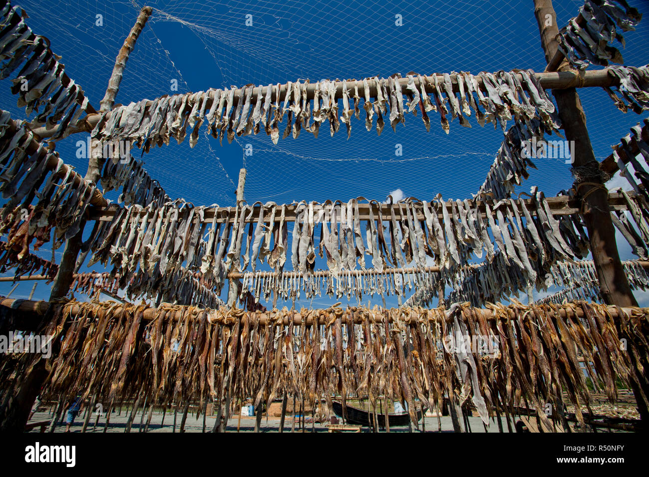 Dry fish plant at Kuakata. Patuakhali, Bangladesh Stock Photo - Alamy