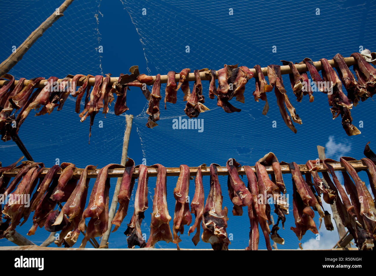 Dry fish plant at Kuakata. Patuakhali, Bangladesh Stock Photo - Alamy