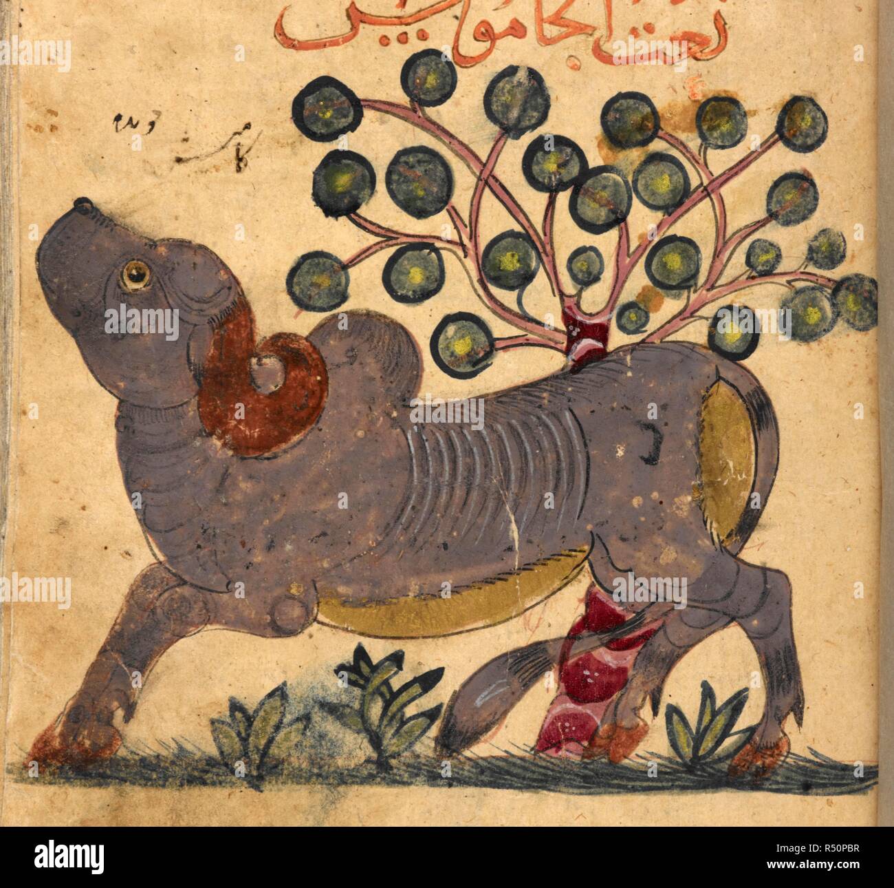 Kitab na't al hayawan hi-res stock photography and images - Alamy