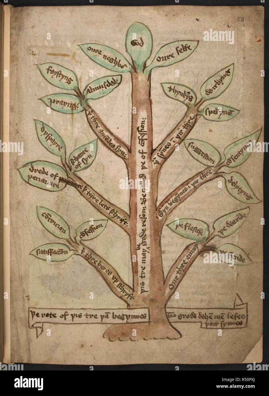 An illustration of a tree with text written on the leaves. The healthy ...