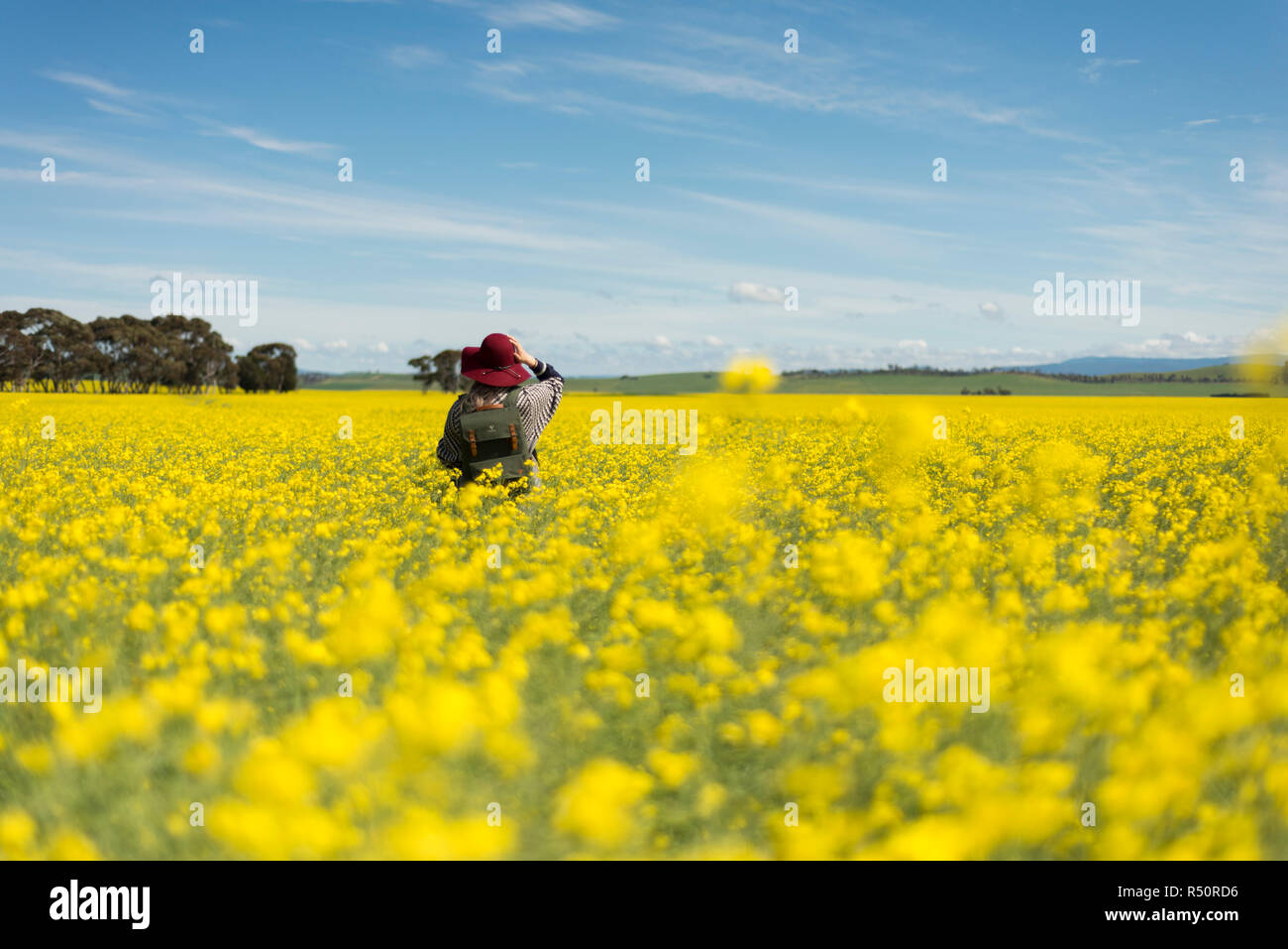 Exploring field hi-res stock photography and images - Alamy
