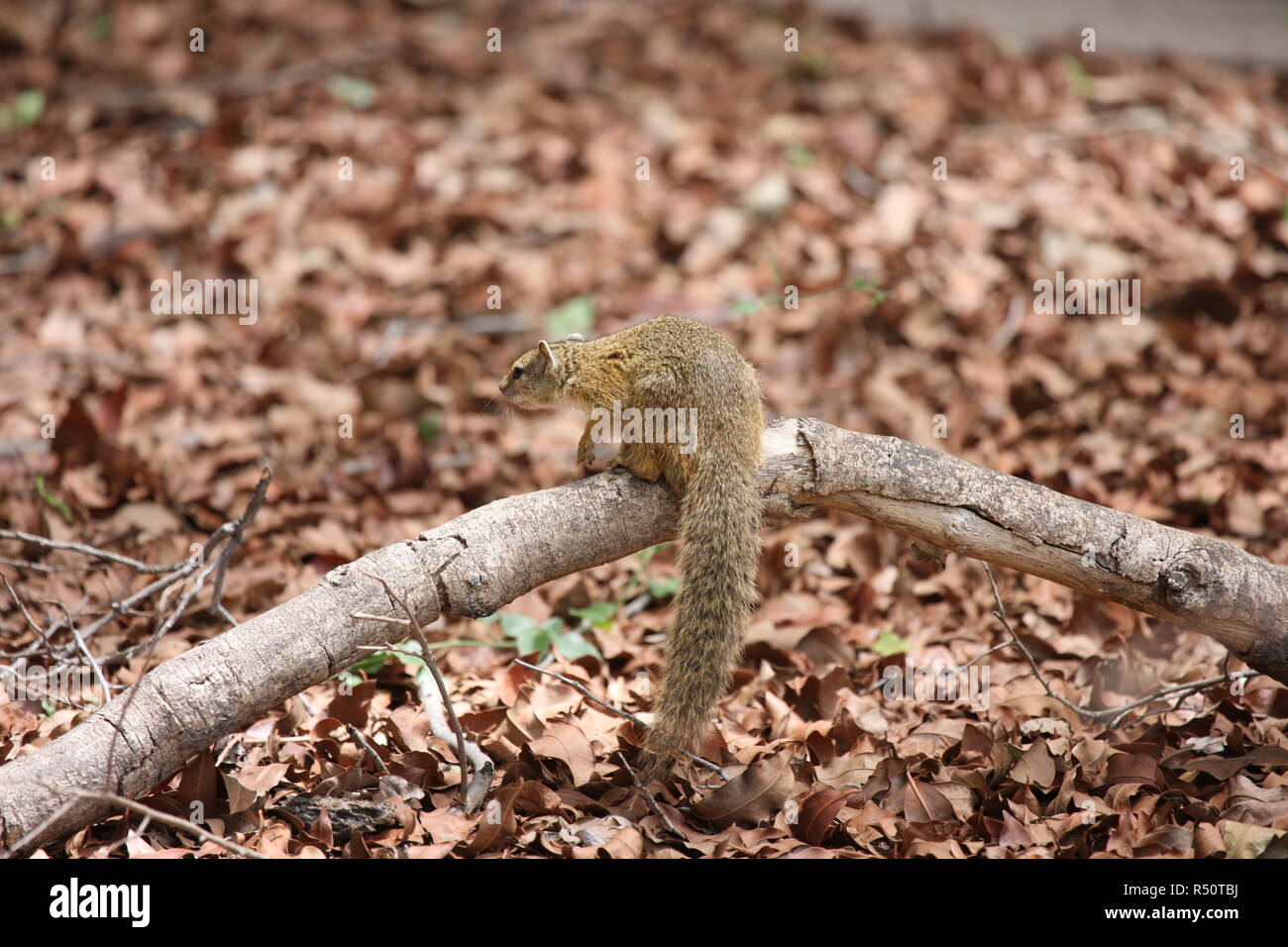Humans looking small in nature hi-res stock photography and images - Alamy