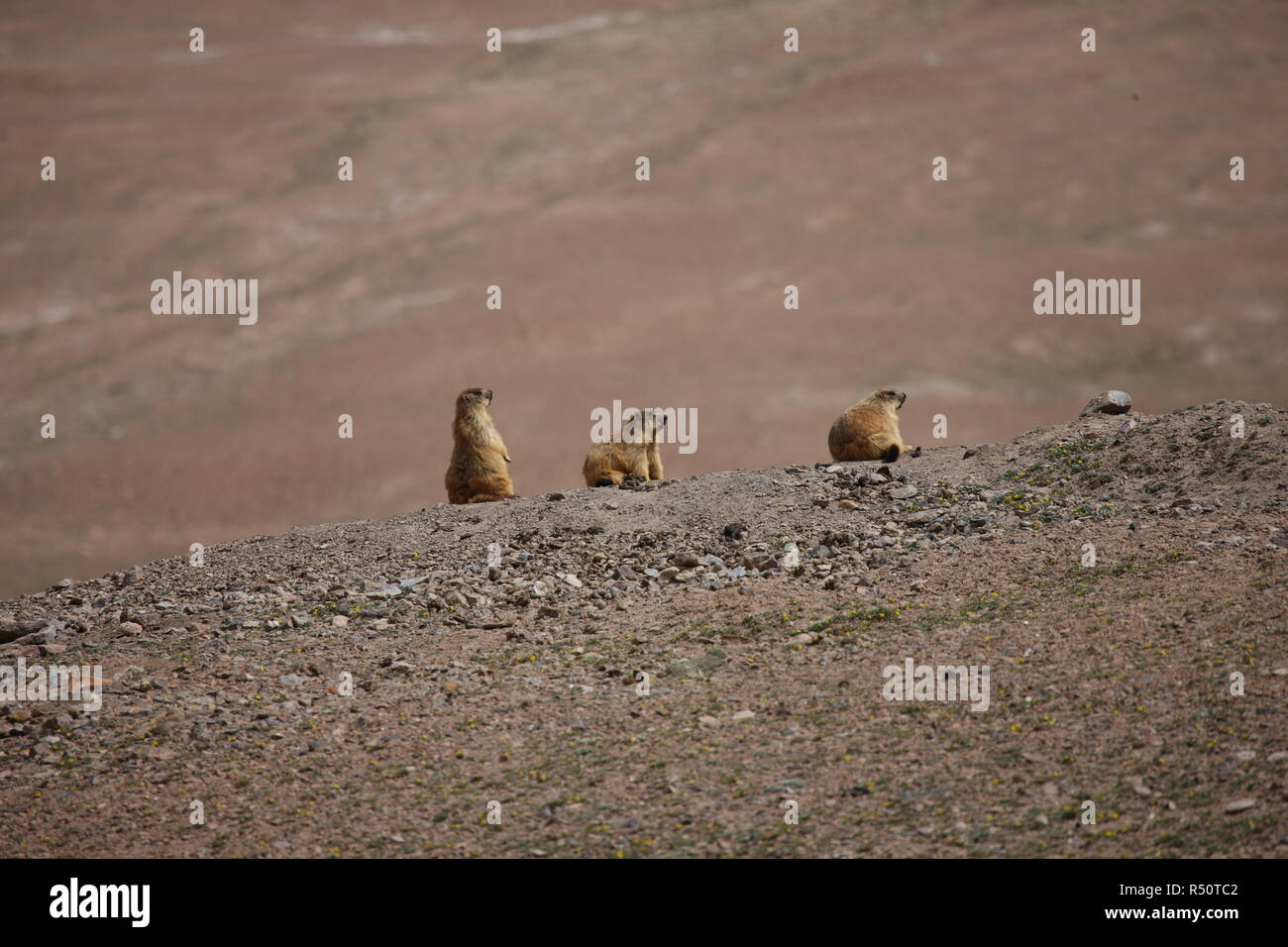 Humans looking small in nature hi-res stock photography and images - Alamy