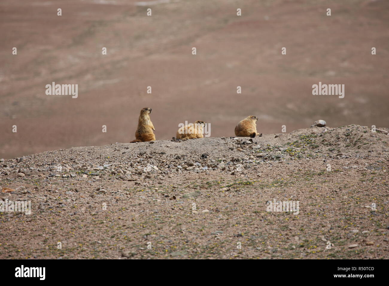 Humans looking small in nature hi-res stock photography and images - Alamy