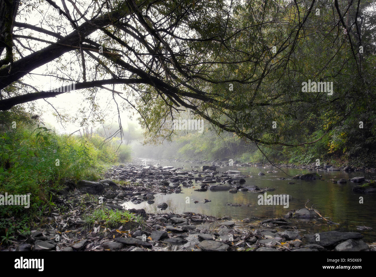 View of a rocky riverbed Stock Photo - Alamy