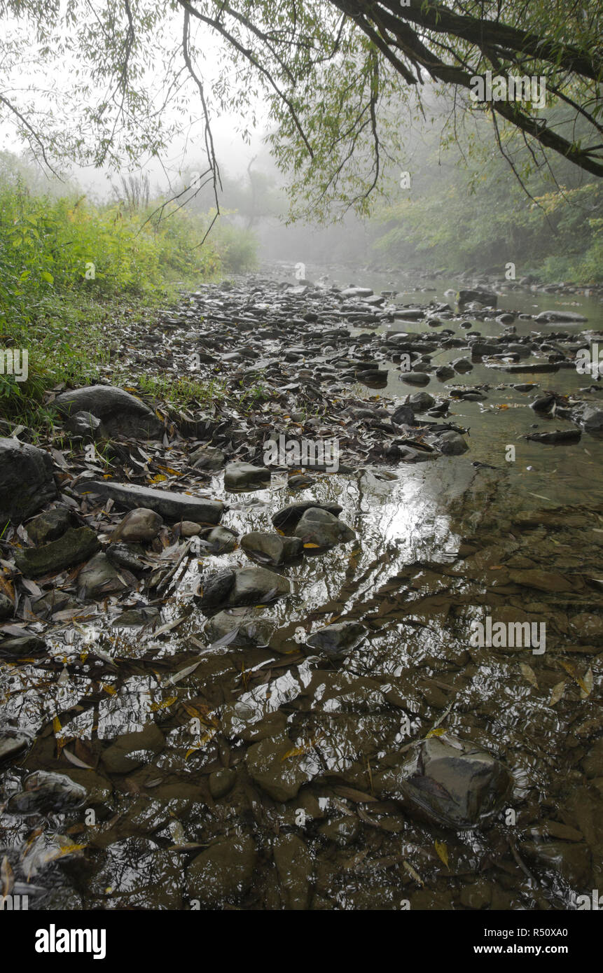 Rocky riverbed hi-res stock photography and images - Alamy