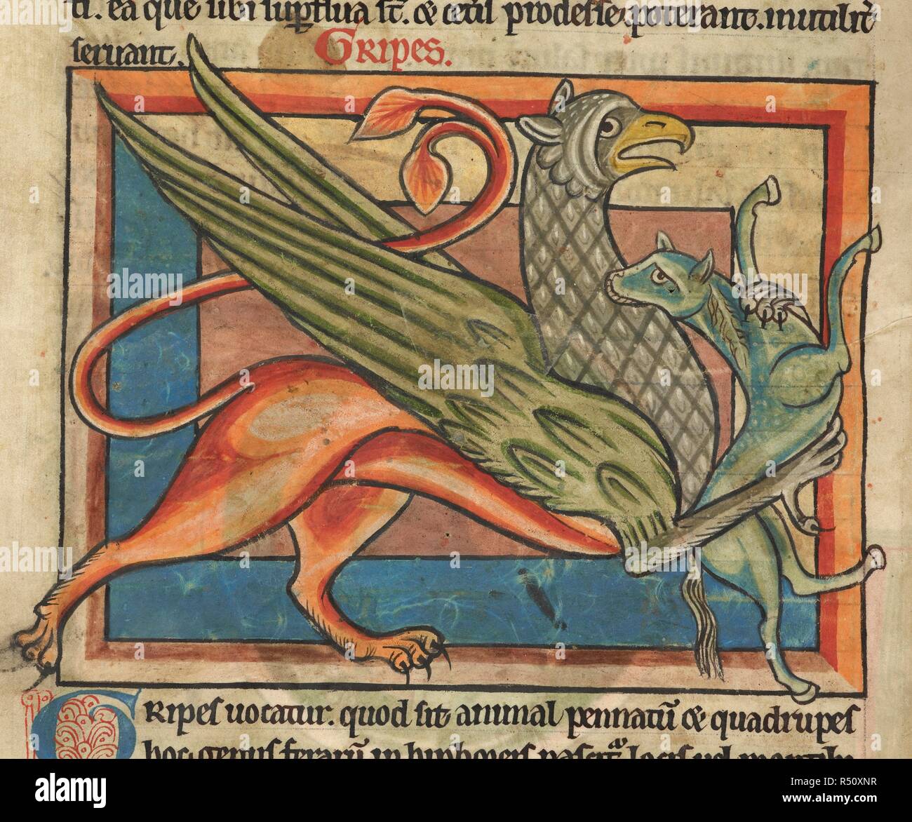 Bestiary lion hi-res stock photography and images - Alamy