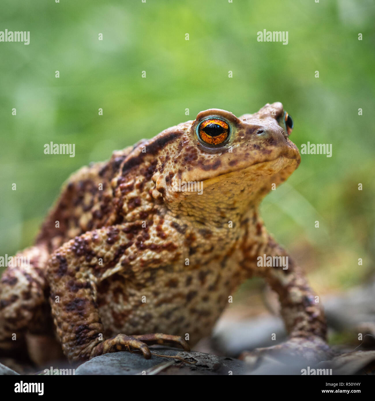 High dam lake district hi-res stock photography and images - Alamy