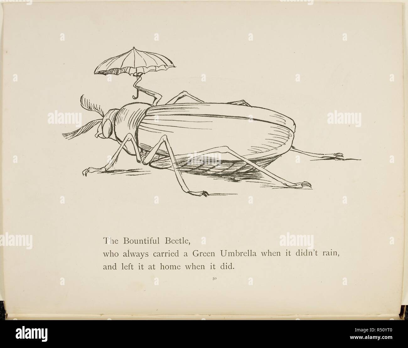 Beetle with umbrella Illustration and verse from Nonsense Botany ...
