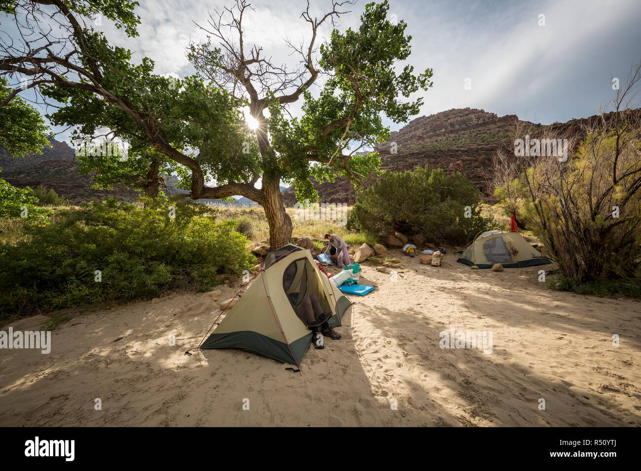 Set up tents hi-res stock photography and images - Alamy