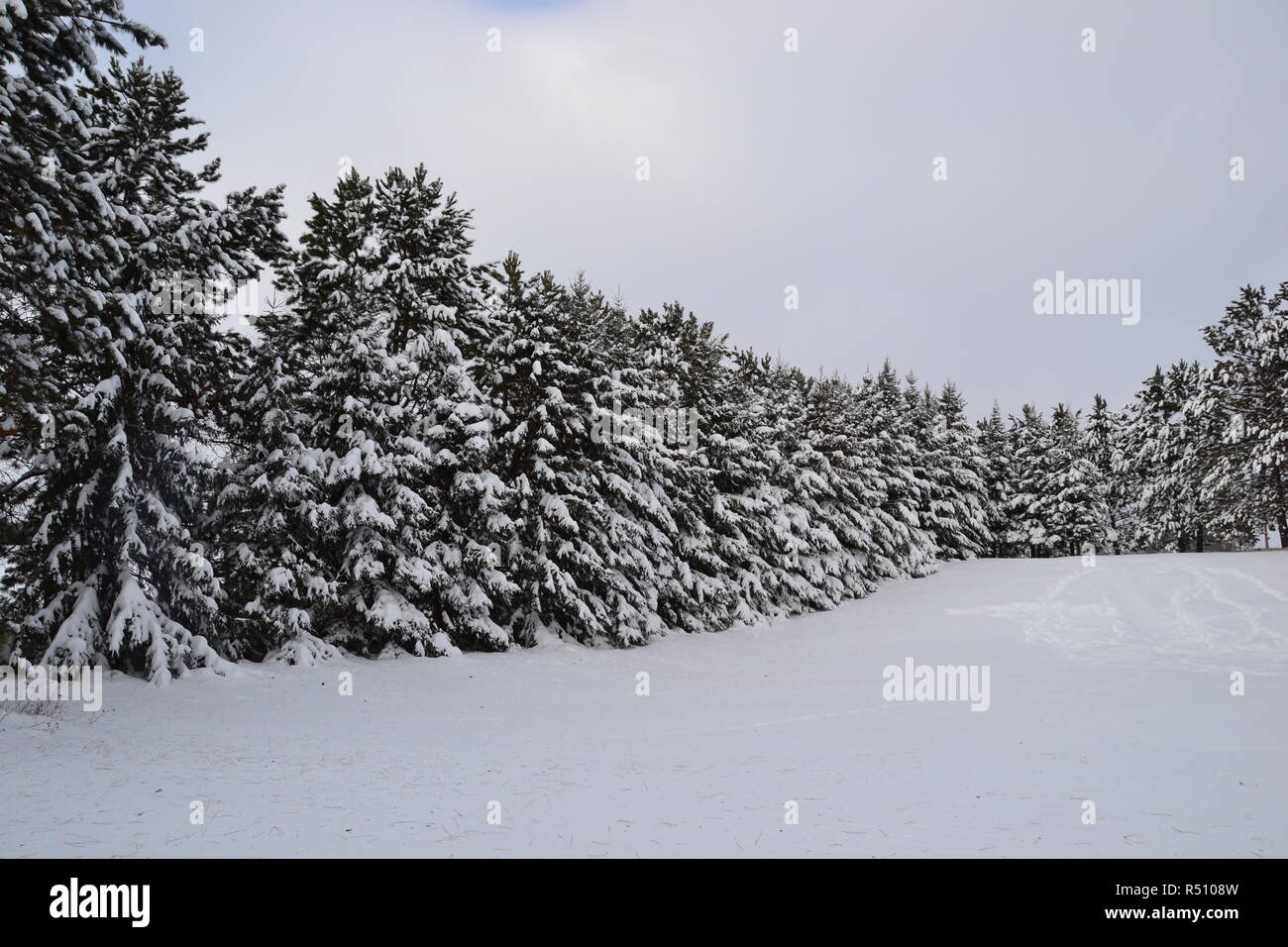 Land of wonder hi-res stock photography and images - Alamy