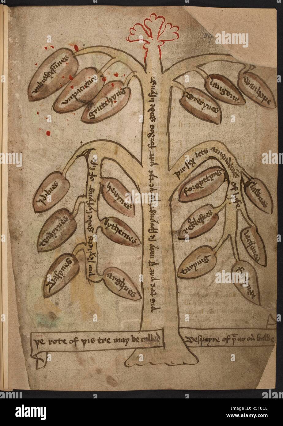 An illustration of a tree with text written on the leaves. The healthy ...