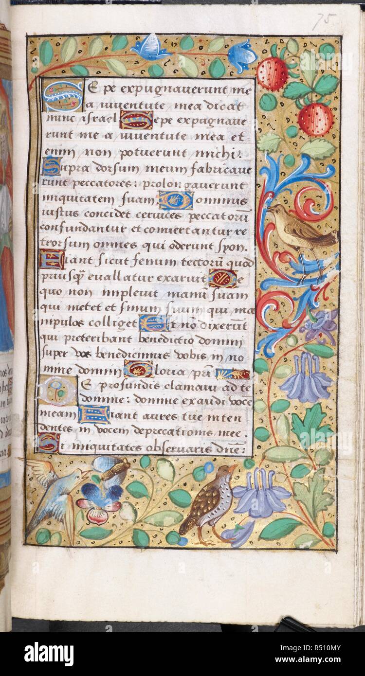 Cross illuminated manuscript hi-res stock photography and images - Alamy