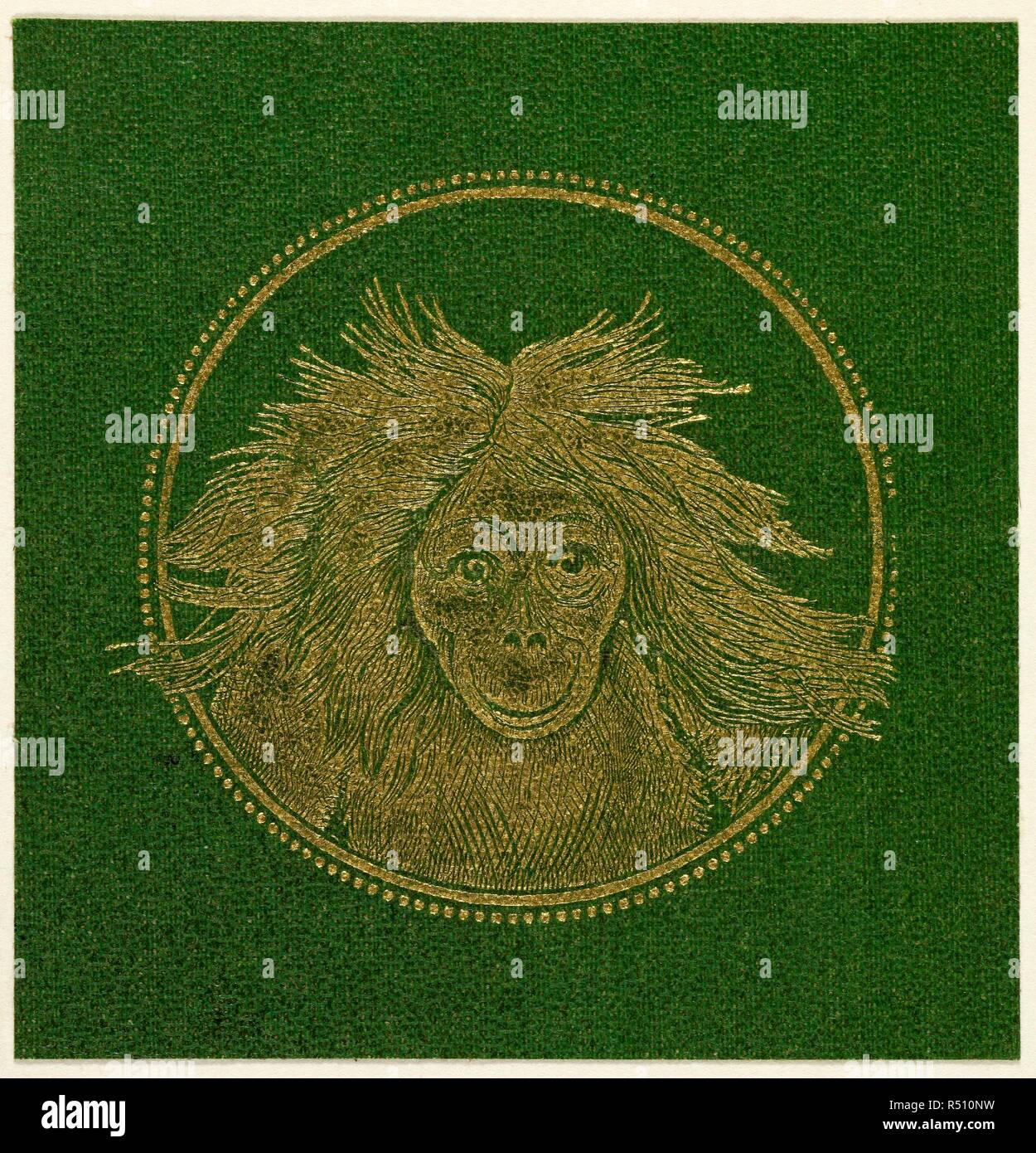 The Malay Archipelago. Embossed image. The Malay Archipelago: the land ...