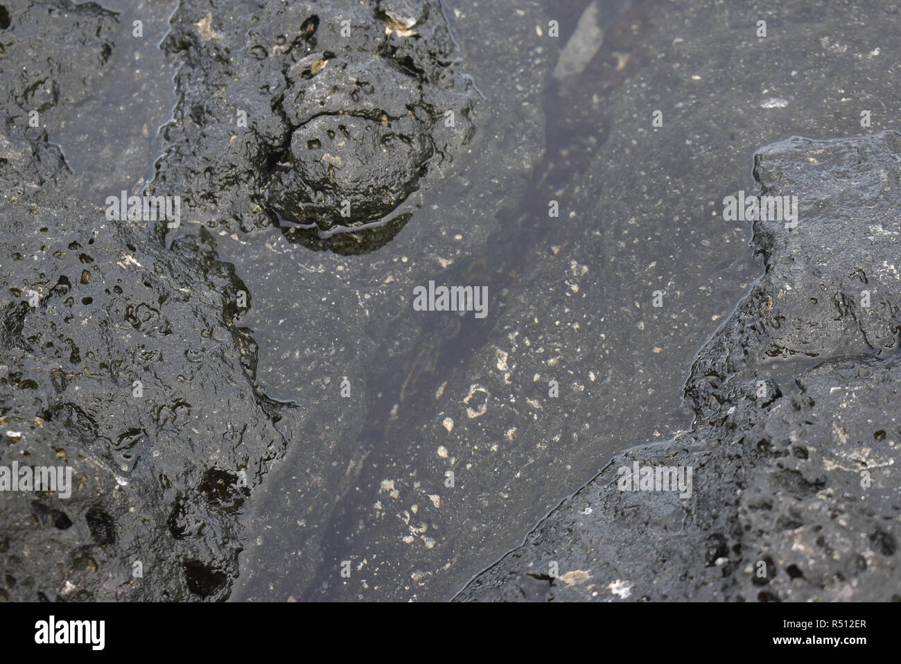 Close up view of rocks at a beach in Hawaii Stock Photo - Alamy