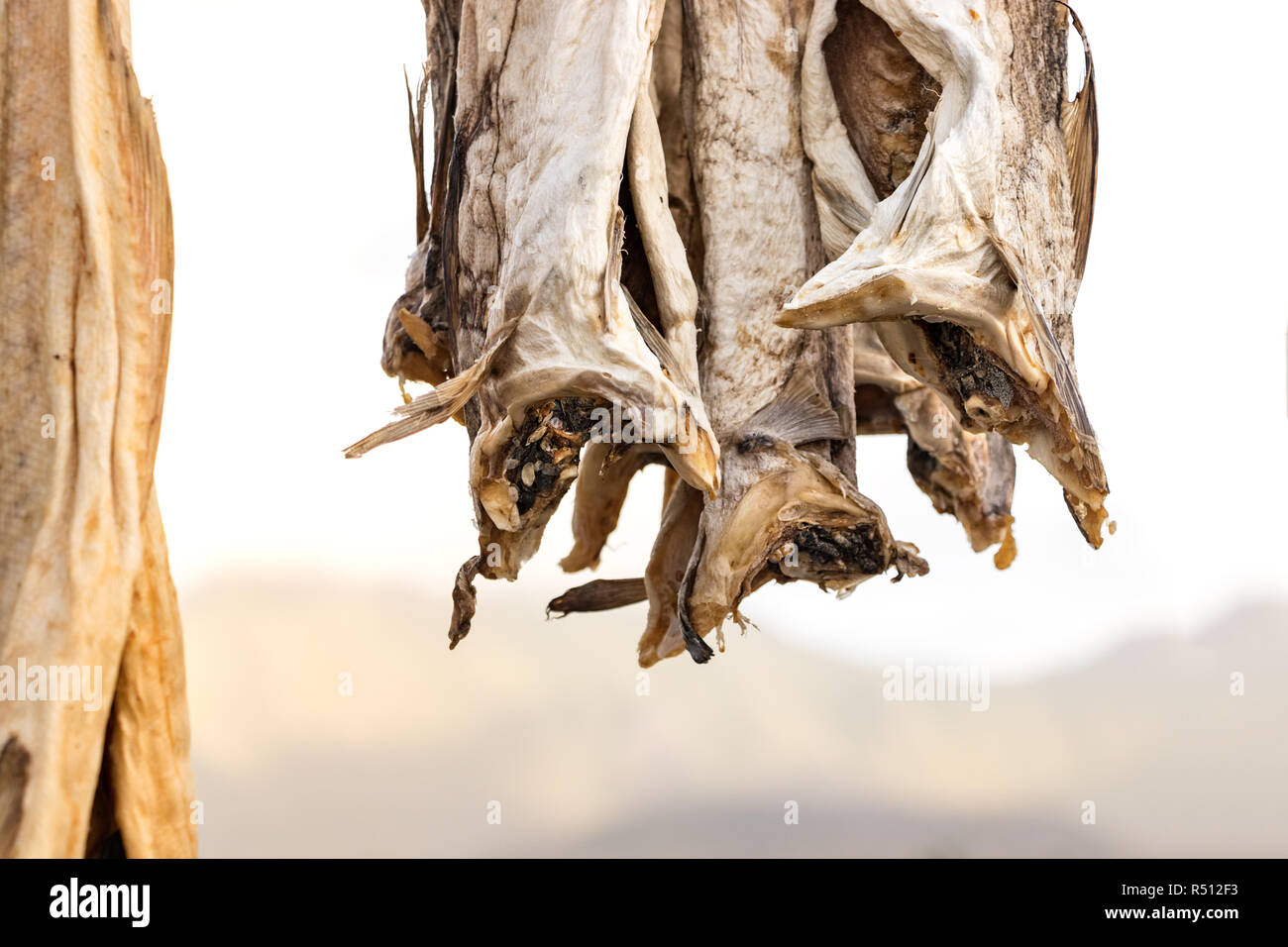 Hanged fish hi-res stock photography and images - Alamy