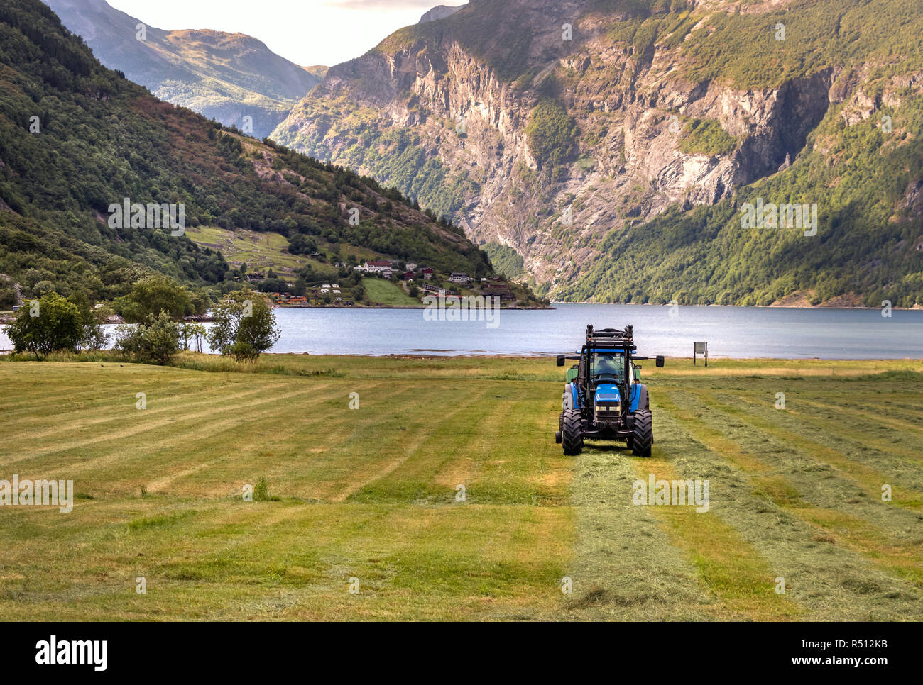 Small tractor with round baler haymaking on a field in Geiranger ...
