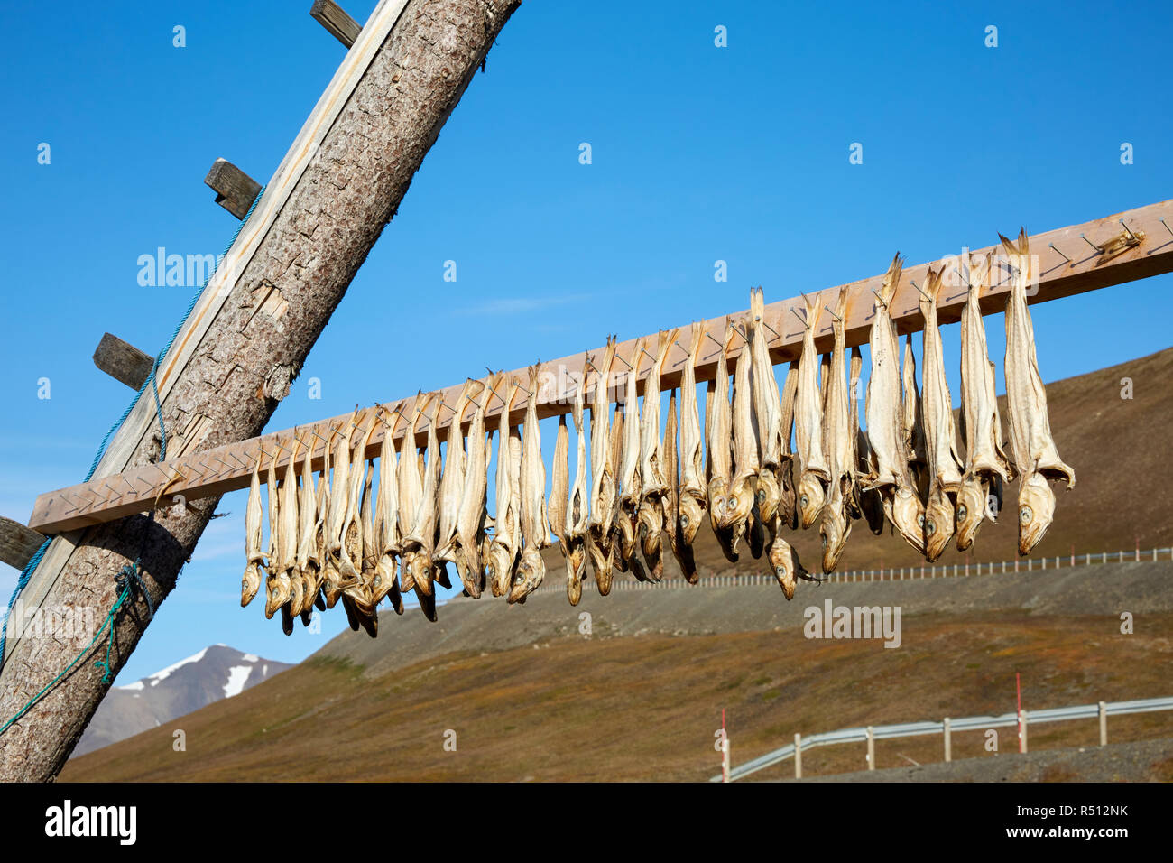 Drying fish hi-res stock photography and images - Alamy