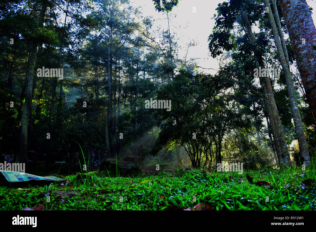 Maribaya forest location in West Java, Indonesia Stock Photo - Alamy