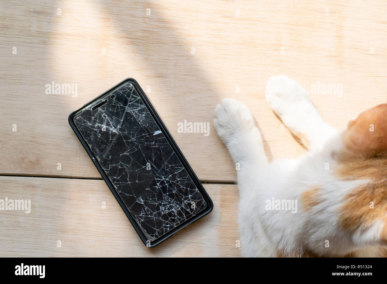 broken smartphone, accidentally cracked or damage and cat Stock Photo ...