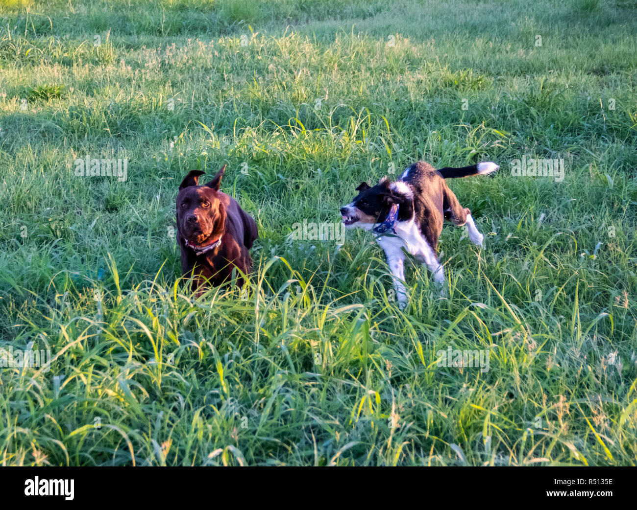 One trying not to get wet hi-res stock photography and images - Alamy