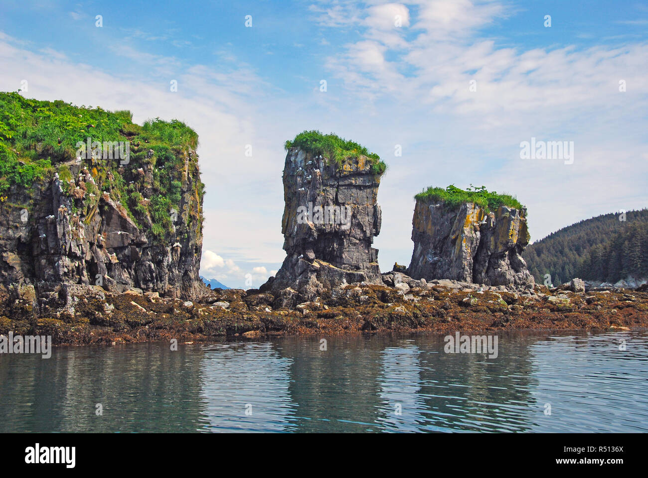 Bird Nest Rock by Kodiak Island Stock Photo - Alamy
