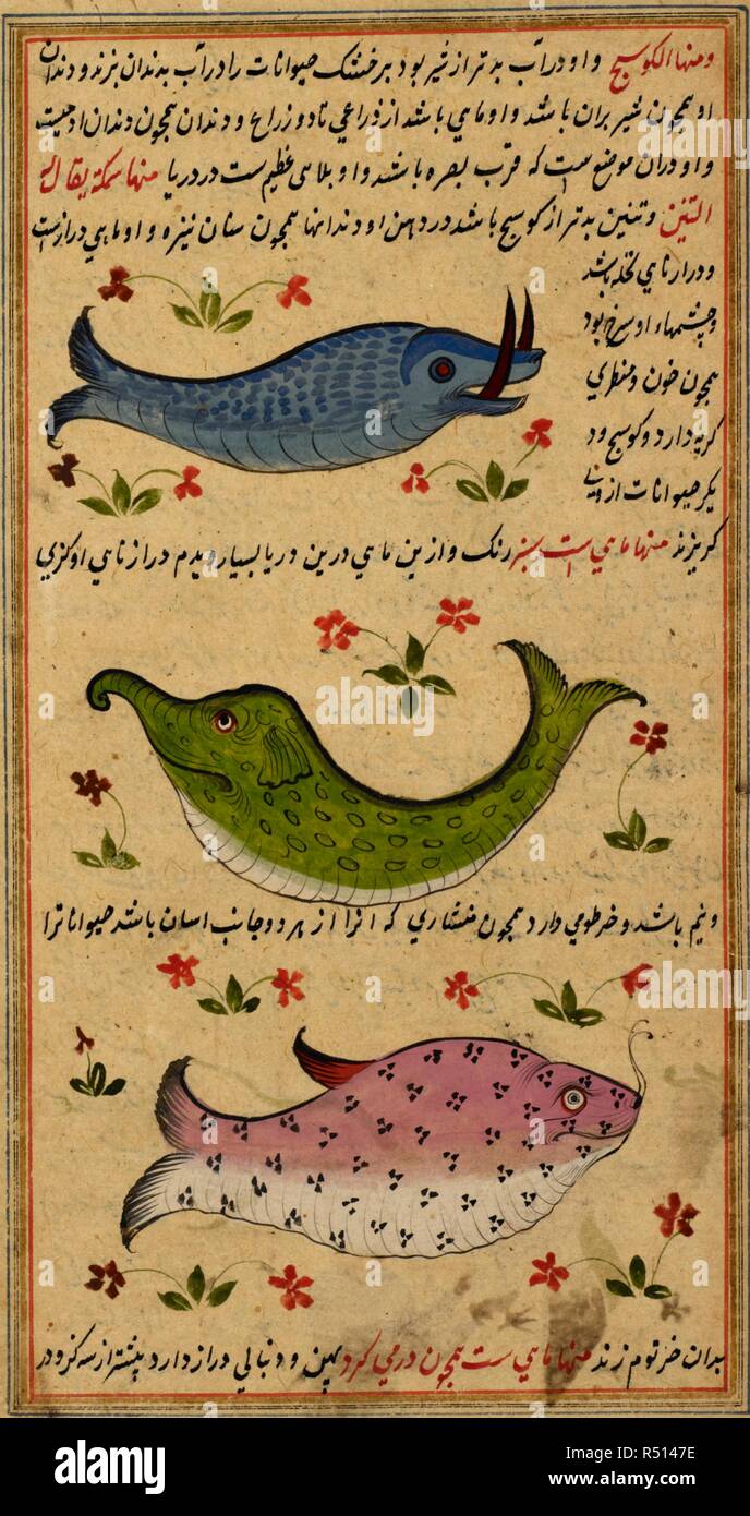 Gharaib hi-res stock photography and images - Alamy