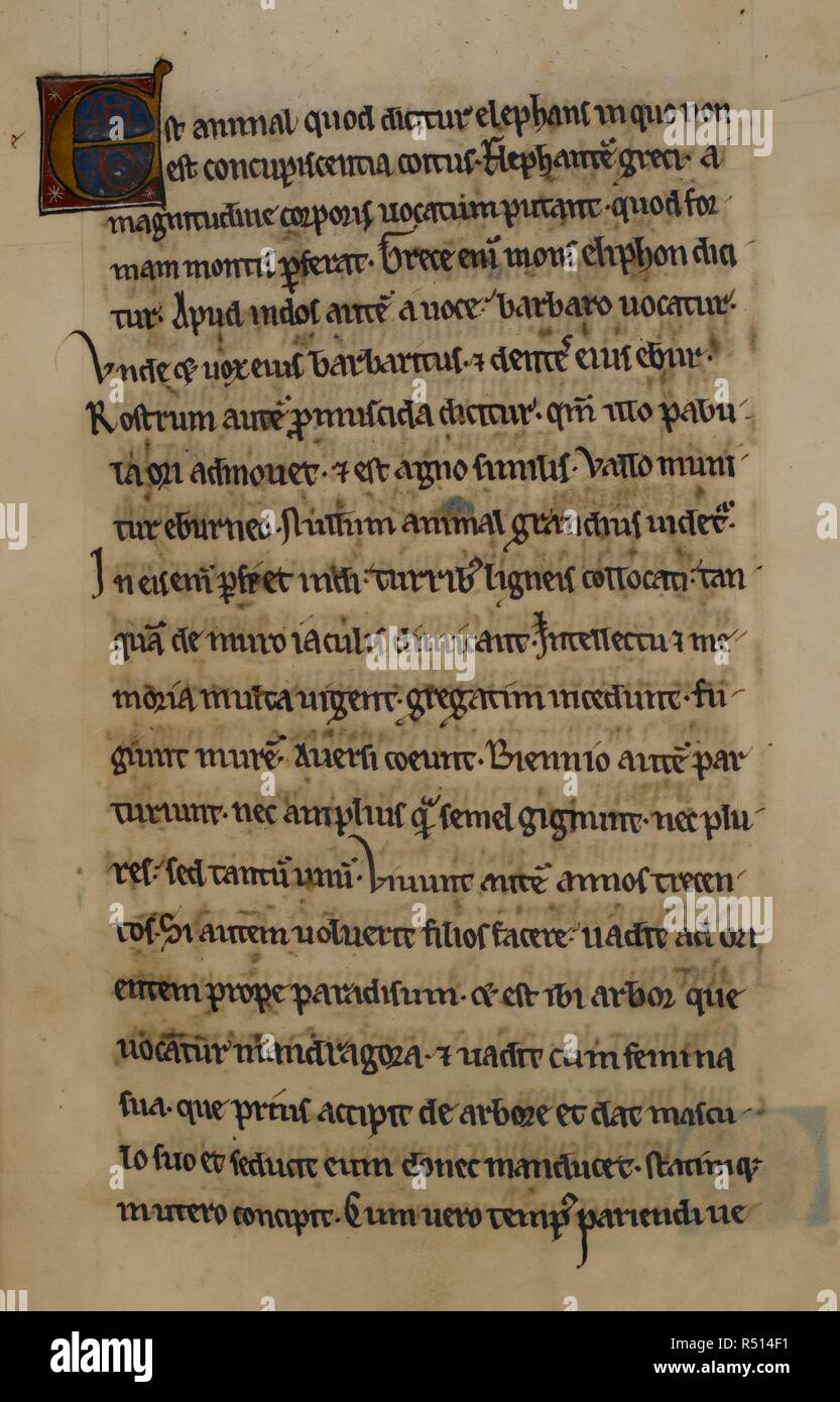 Early latin alphabet hi-res stock photography and images - Alamy