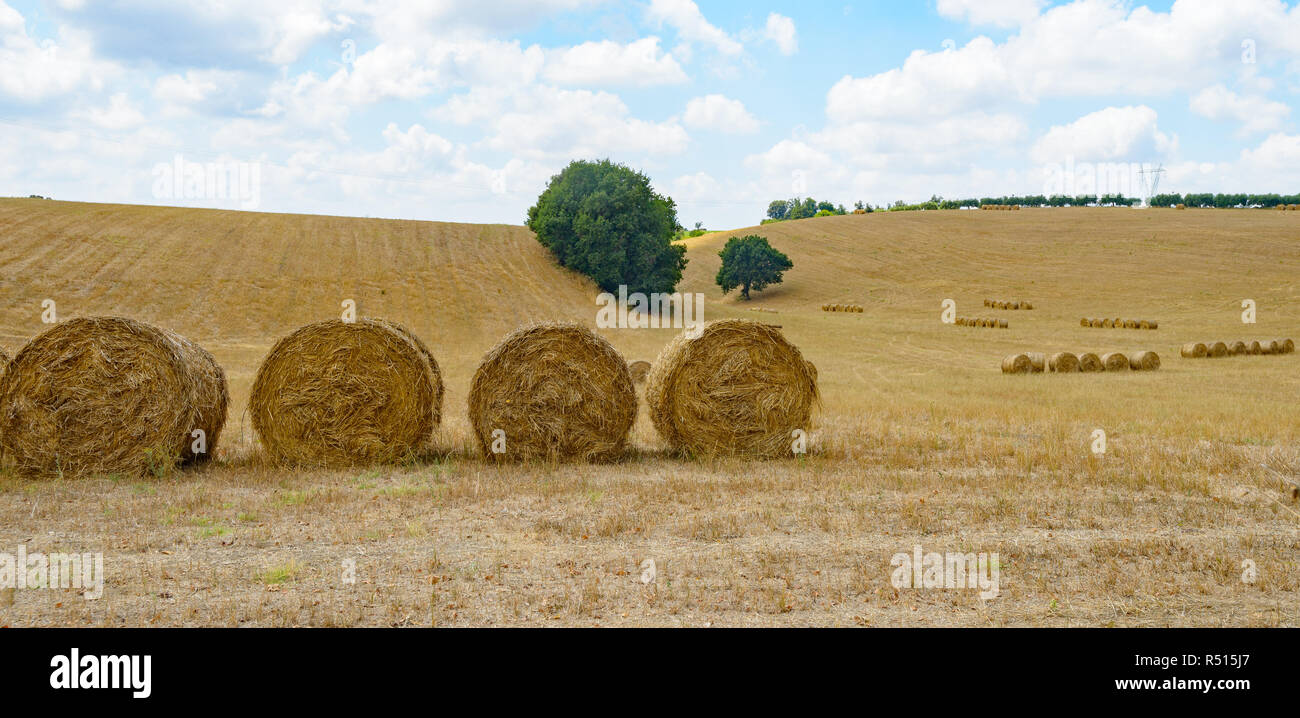 Hayball hi-res stock photography and images - Alamy